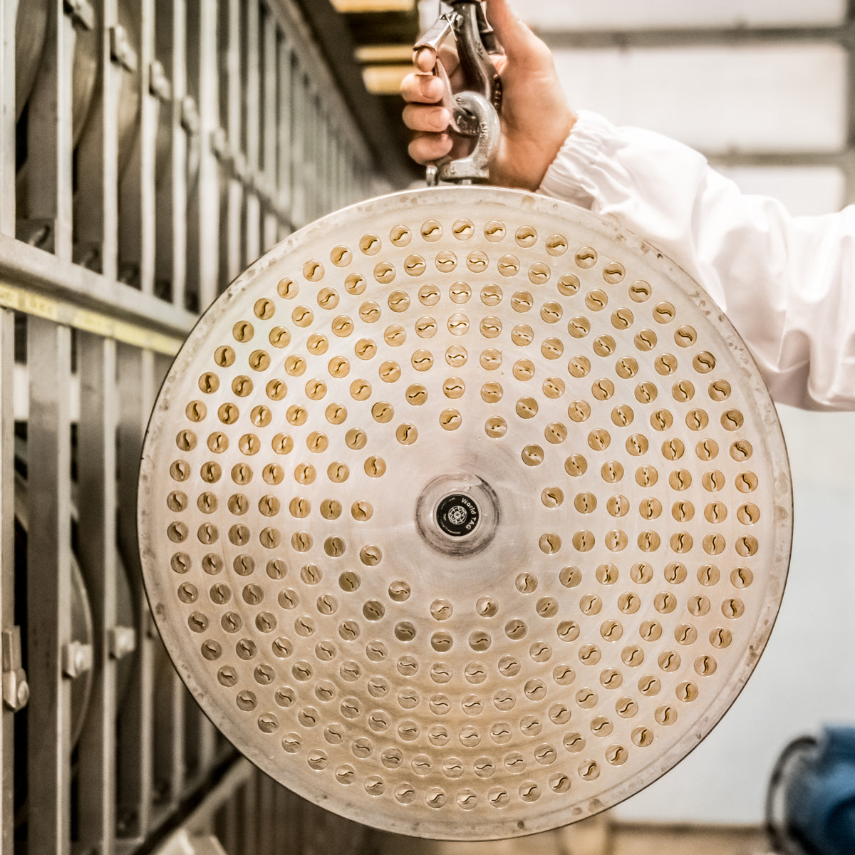 Organic Gluten Free Brown Rice Pasta Egg Tagliatelle – Jovial Foods, Inc