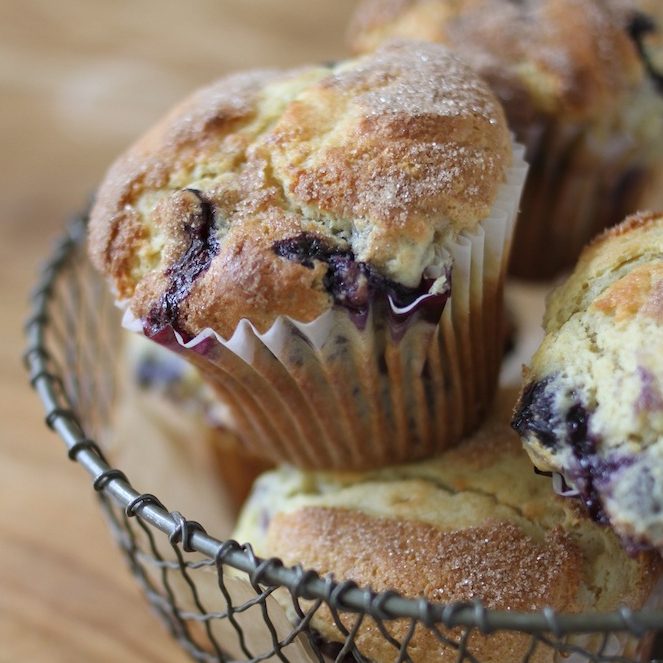Cinnamon Dusted Einkorn Blueberry Muffins – Jovial Foods, Inc
